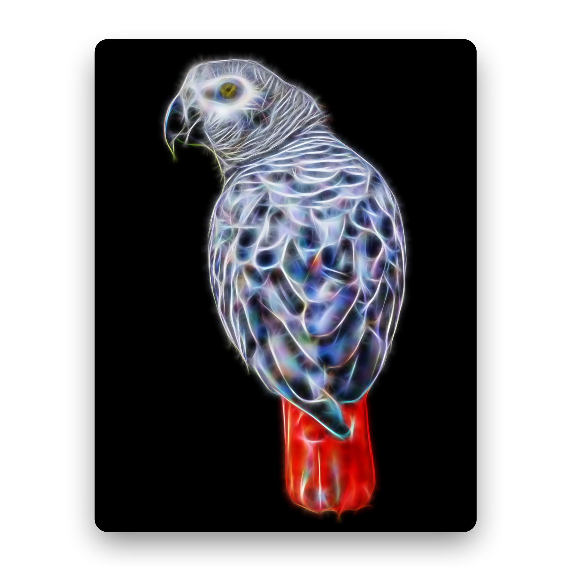 Parrot – Fractal Artworks