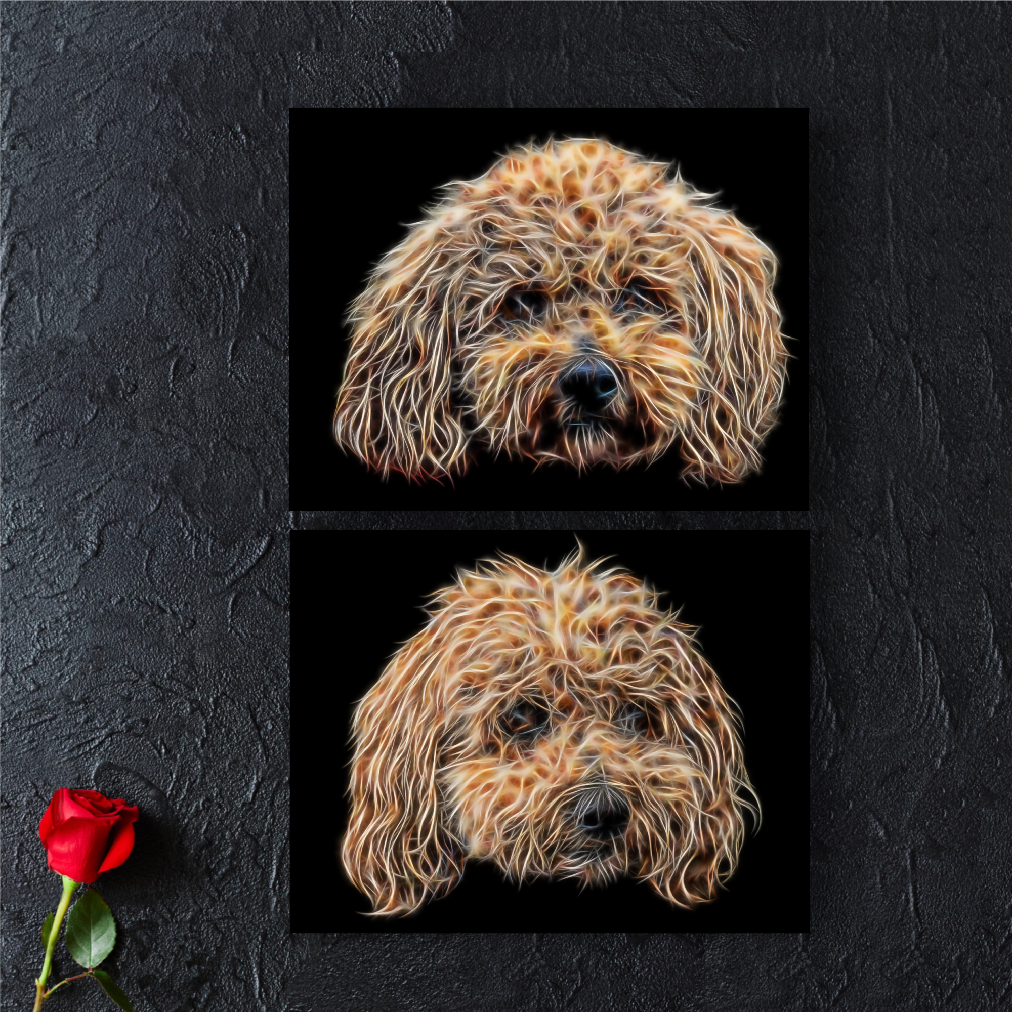 poochon – Fractal Artworks