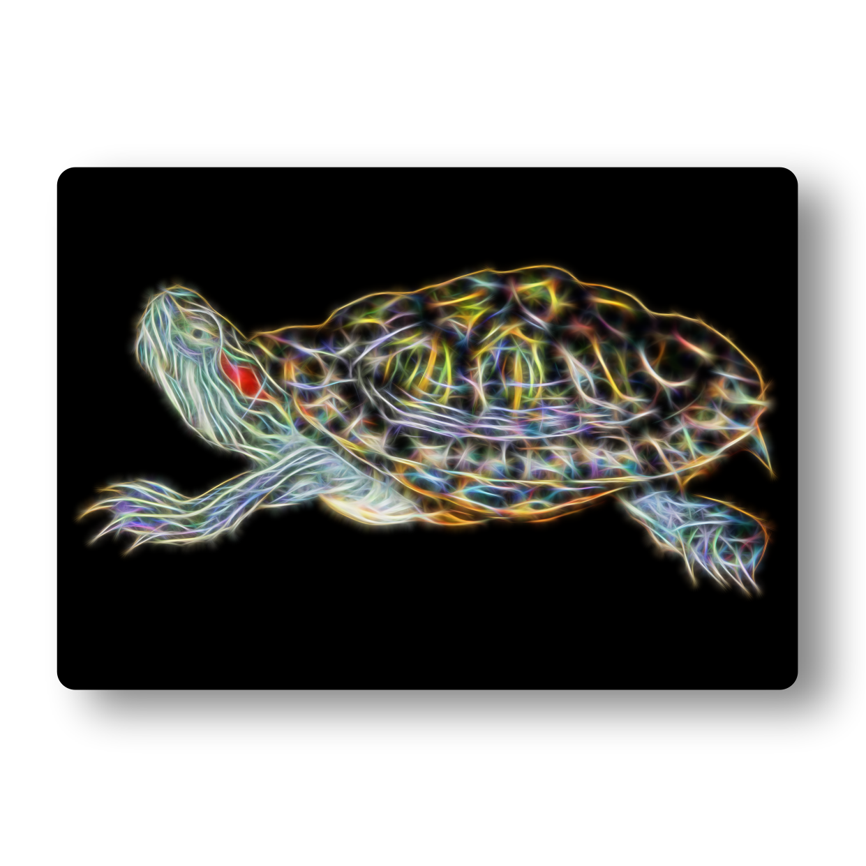 Turtle – Fractal Artworks