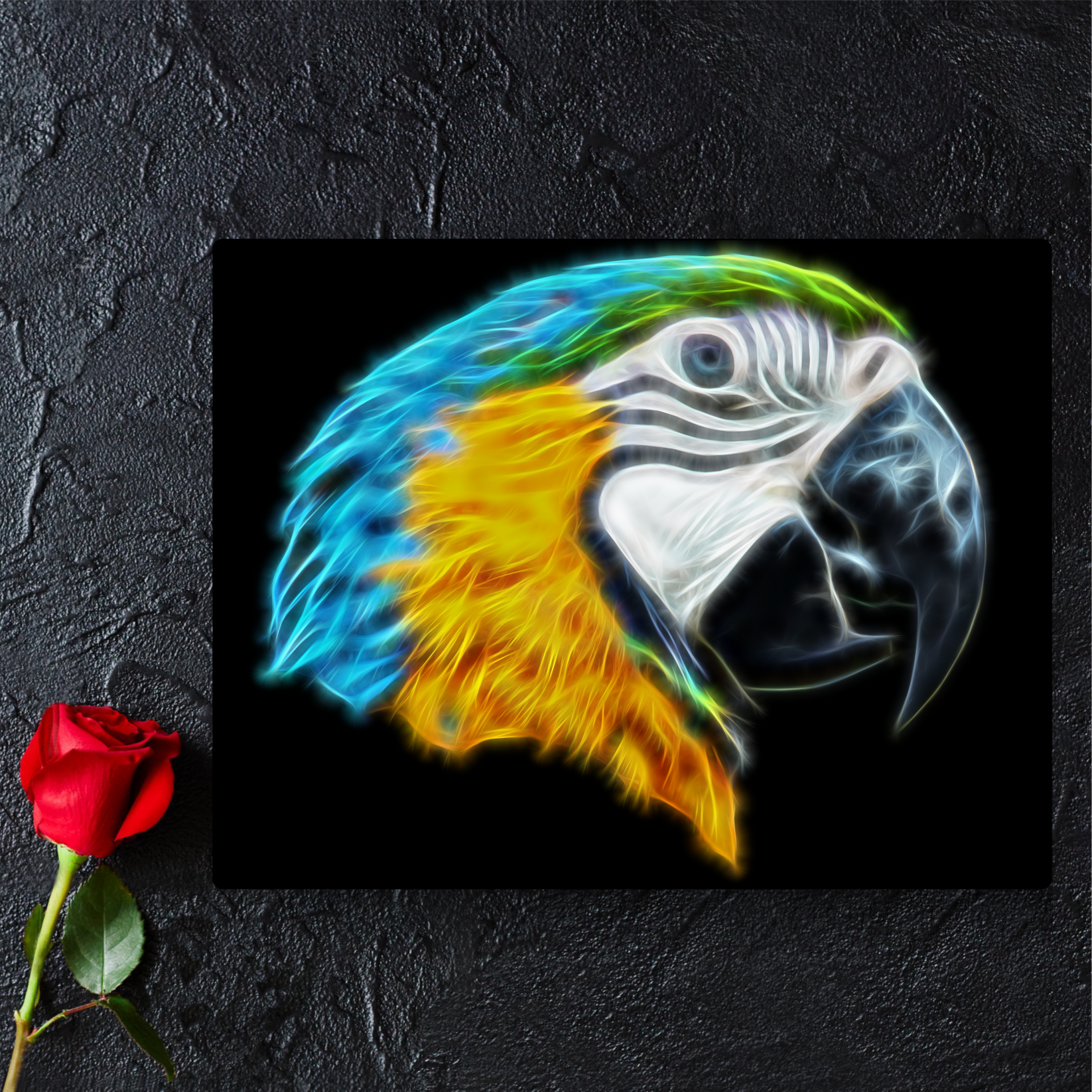 Macaw Parrot Metal Wall Plaque – Fractal Artworks